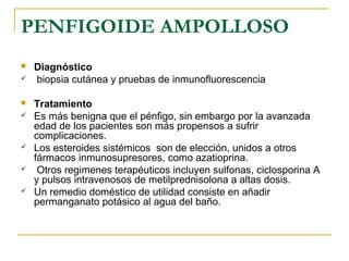 Enfermedades Ampollosas De La Piel Uasd Ppt