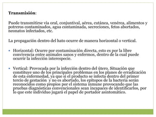 enfermedadesbacterianasenbovinos-160618024110.pdf