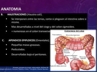 Enfermedades Benignas de Colon CIRUGIA GENERAL | PPTX