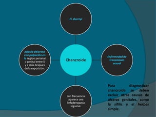 Haemophilus - Enfermedades clínicas | PPTX