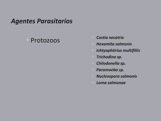 Enfermedades concepto y generalidades puno 2015 | PDF