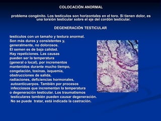ENFERMEDADES DEL APARATO REPRODUCTOR DE PERROS, MACHOS Y HEMBRAS.ppt