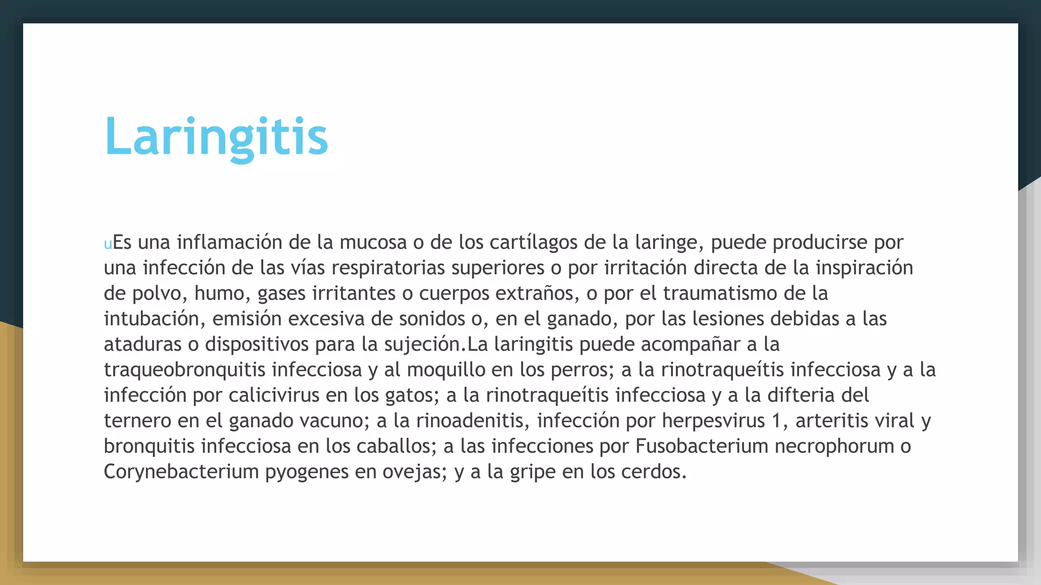 ENFERMEDADES DEL APARATO RESPIRATORIO.pptx