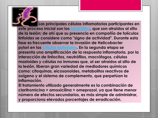 Enfermedades por mala higiene de las manos | PPT