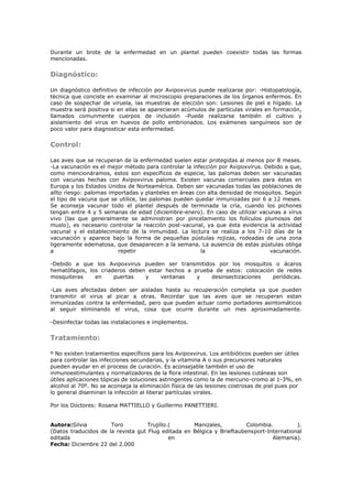 Enfermedades de las palomas | PDF