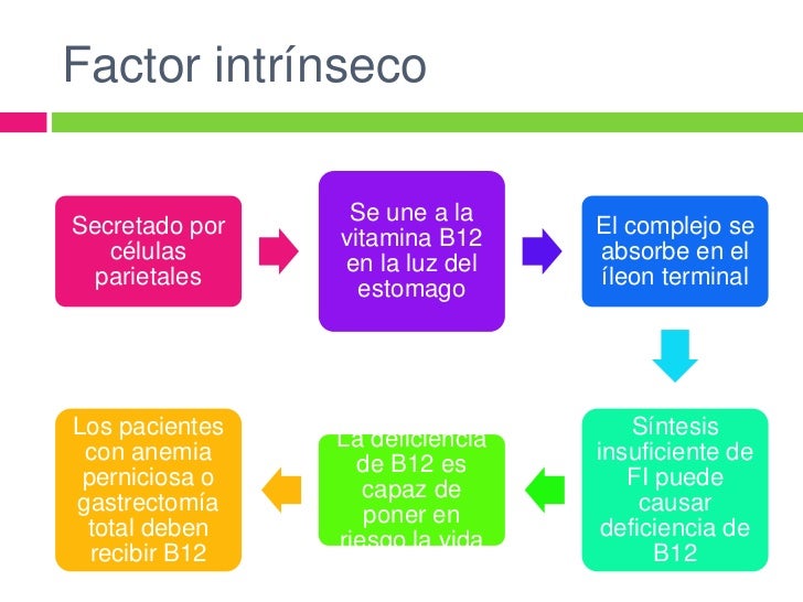 Enfermedades del estomago