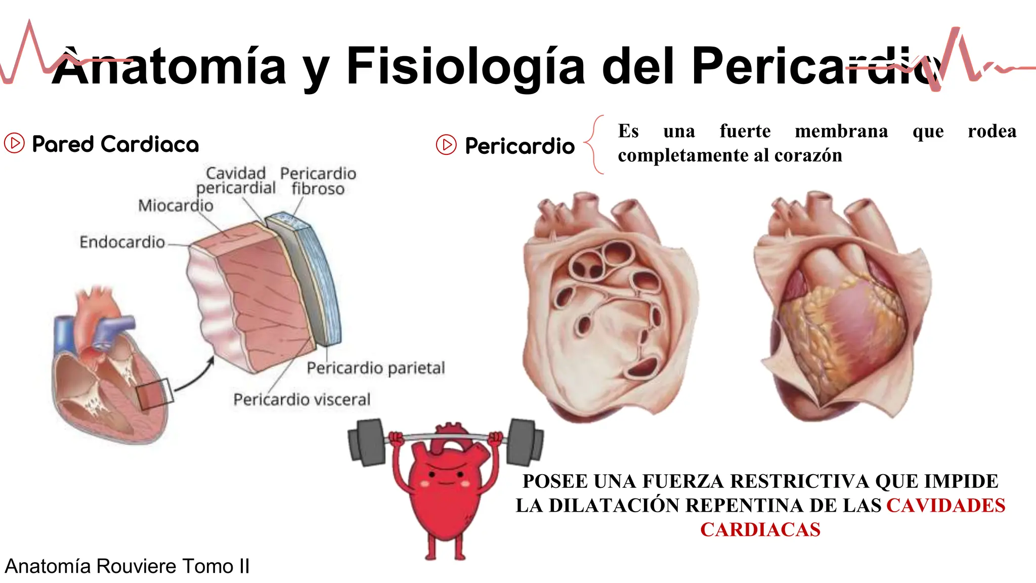 ENFERMEDADES DEL PERICARDIO Fácil se aprender.pptx