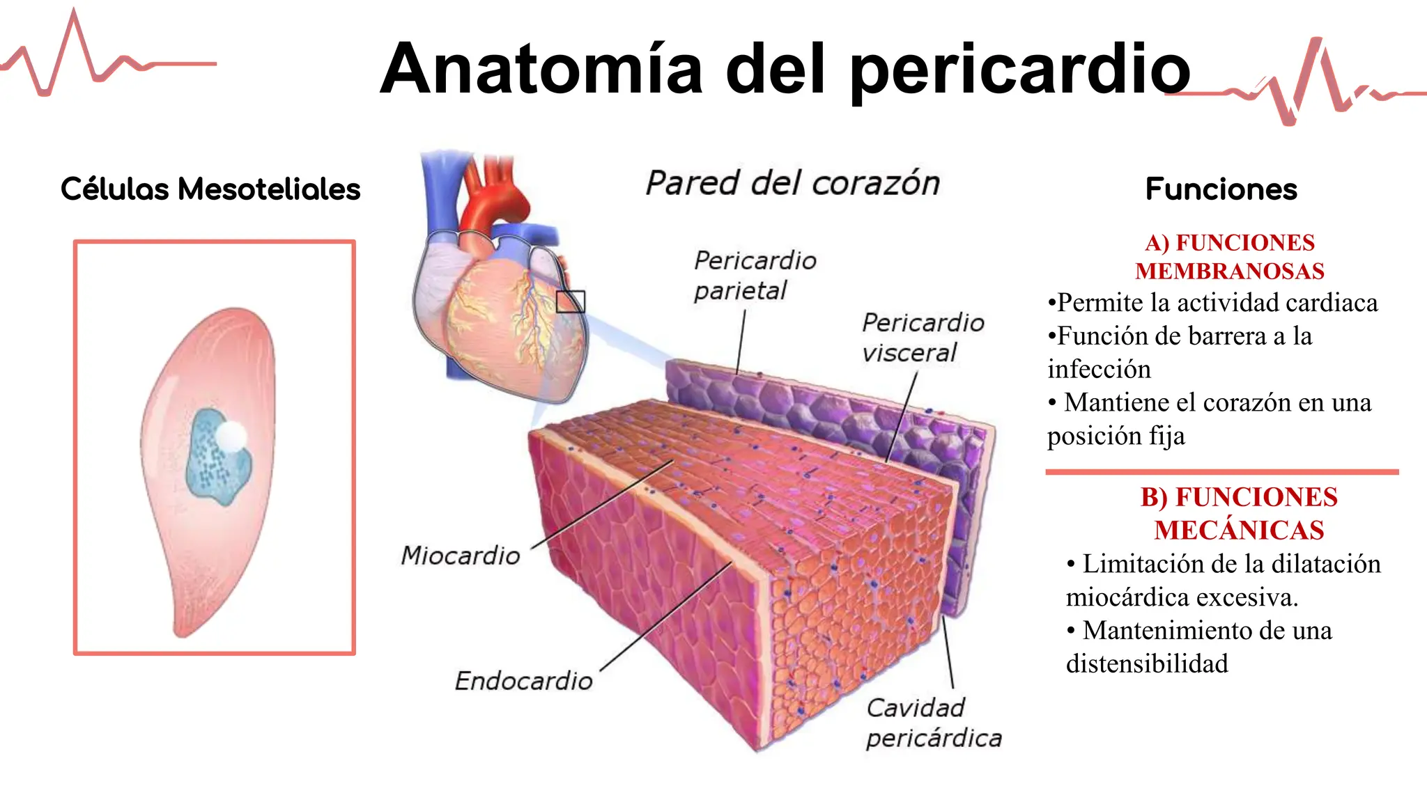 ENFERMEDADES DEL PERICARDIO Fácil se aprender.pptx