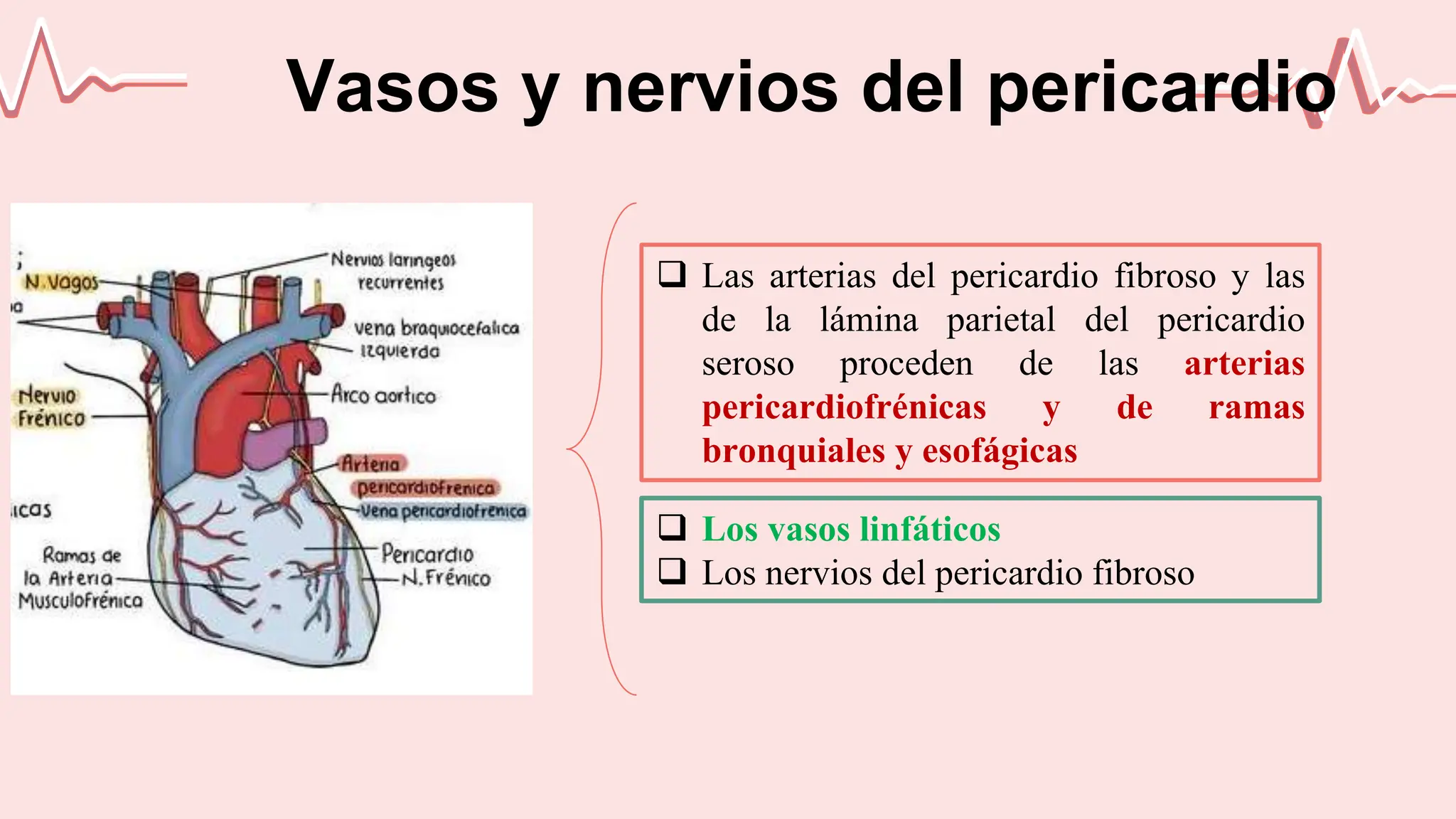 ENFERMEDADES DEL PERICARDIO Fácil se aprender.pptx