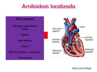 Enfermedades del sistema inmunitario | PDF