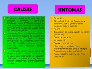 Enfermedades del sitema circulatorio y linfatico | PPT