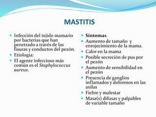 ENFERMEDADES EN BOVINOS | PPTX