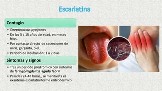 Enfermedades eruptivas de la infancia | PPTX
