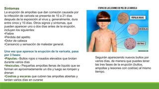 ENFERMEDADES ERUPTIVAS DDEMO CRACTRYYSTR | PPTX