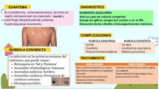 ERUPCIÓN ENFERMEDADES EXANTEMATICAS.pptx