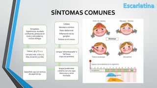 ENFERMEDADES EXANTEMÁTICAS completa .pptx
