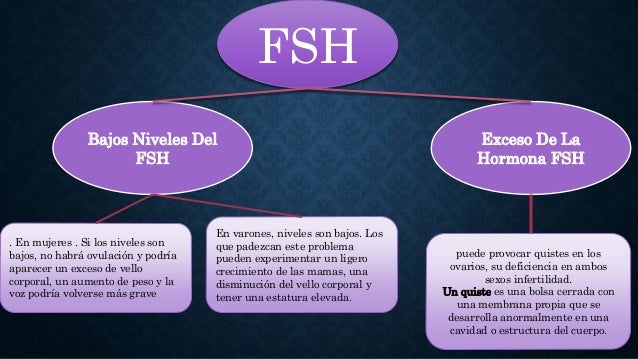 Hormona Folículo Estimulante (FSH)