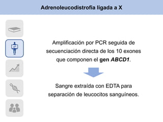 Enfermedades genéticas del sistema endocrino | PPTX