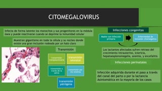 ENFERMEDADES INFECCIOSAS | PPTX