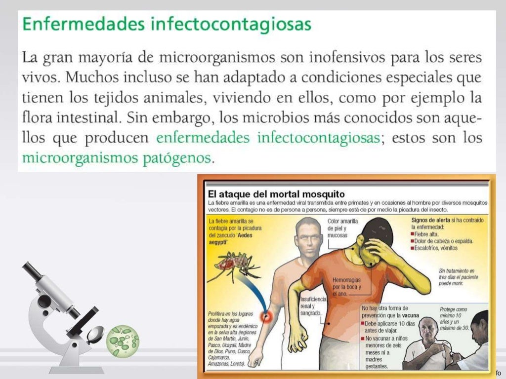 Enfermedades Infectocontagiosas Enfermedades Virales Images