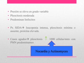 Enfermedades micoticas cerebrales | PPTX