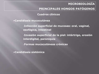 Enfermedades micoticas microbiologuia | PPTX