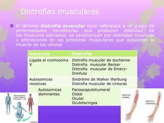 Enfermedades neuromusculares | PPTX
