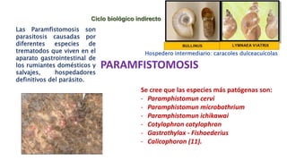 Enfermedades Parasitarias en rumiantes.pptx