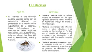 Diapositivas de enfermedades transmitidas por artropodos | PPTX