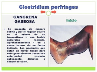 Enfermedades provocadas por bacterias | PPSX