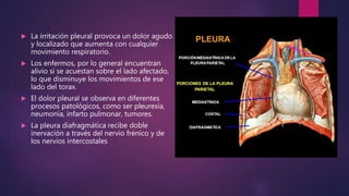 Enfermedades pulmonares | PPTX