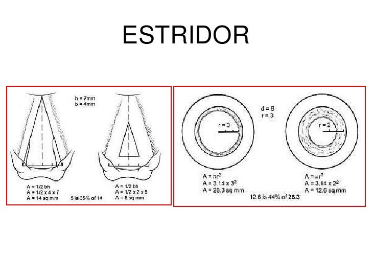 Enfermedades Respiratorias Clase A Estudiantes De Medicina