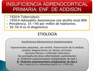Enfermedades suprarrenales | PPTX