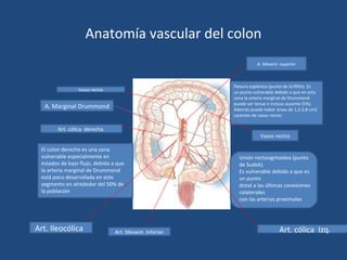 Enfermedades vasculares mesentericas | PPT