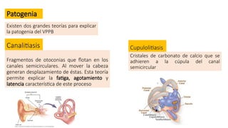 ENFERMEDADES VESTIBULARES- otorrinolaringología | PPTX