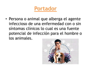 ENFERMEDADES ZOONÓTICAS _SARAI_010634.pptx