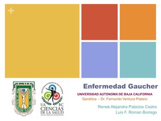Enfermedad Gaucher . | PPTX