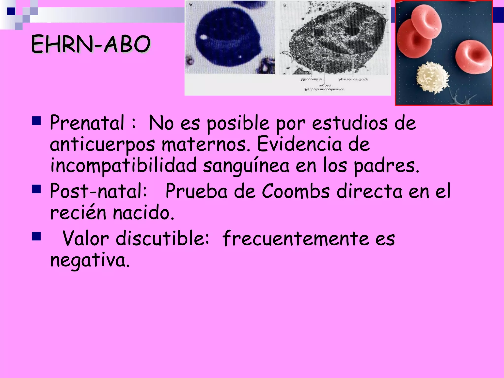 Enfermedad hemolítica del feto y el recién nacido | PPT