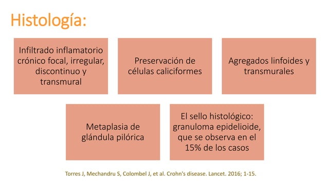 Enfermedad Inflamatoria Intestinal: CUCI y Crohn | PPTX