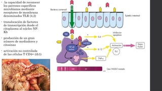 Enfermedad inflamatoria intestinal (CROHN Y CUCI).pptx