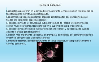 Enfermedad inflamatoria pelvica copy | PPTX