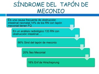 Enfermedad meconial | PPTX