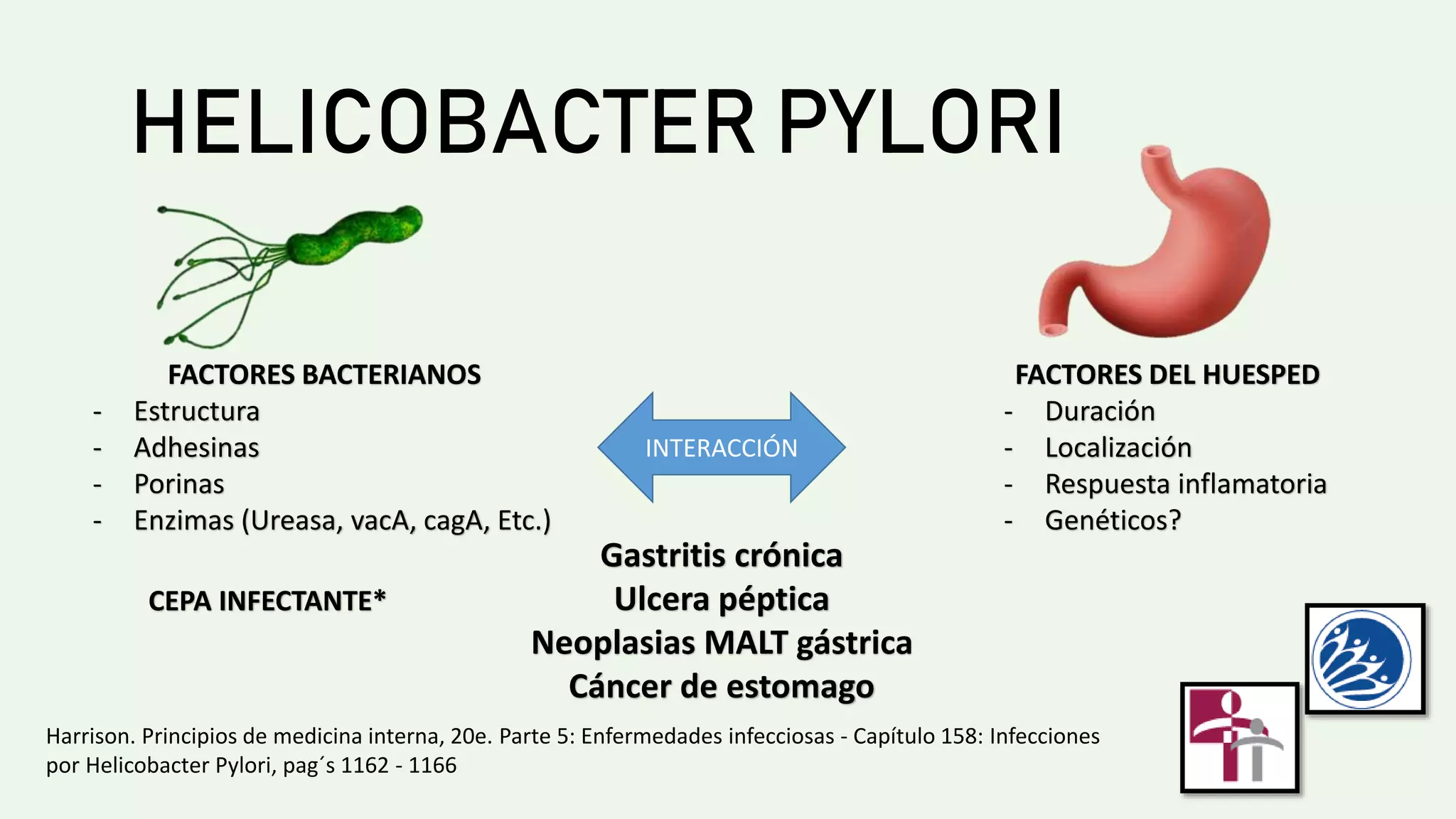 Enfermedad por Helicobacter pylori 2023.pptx
