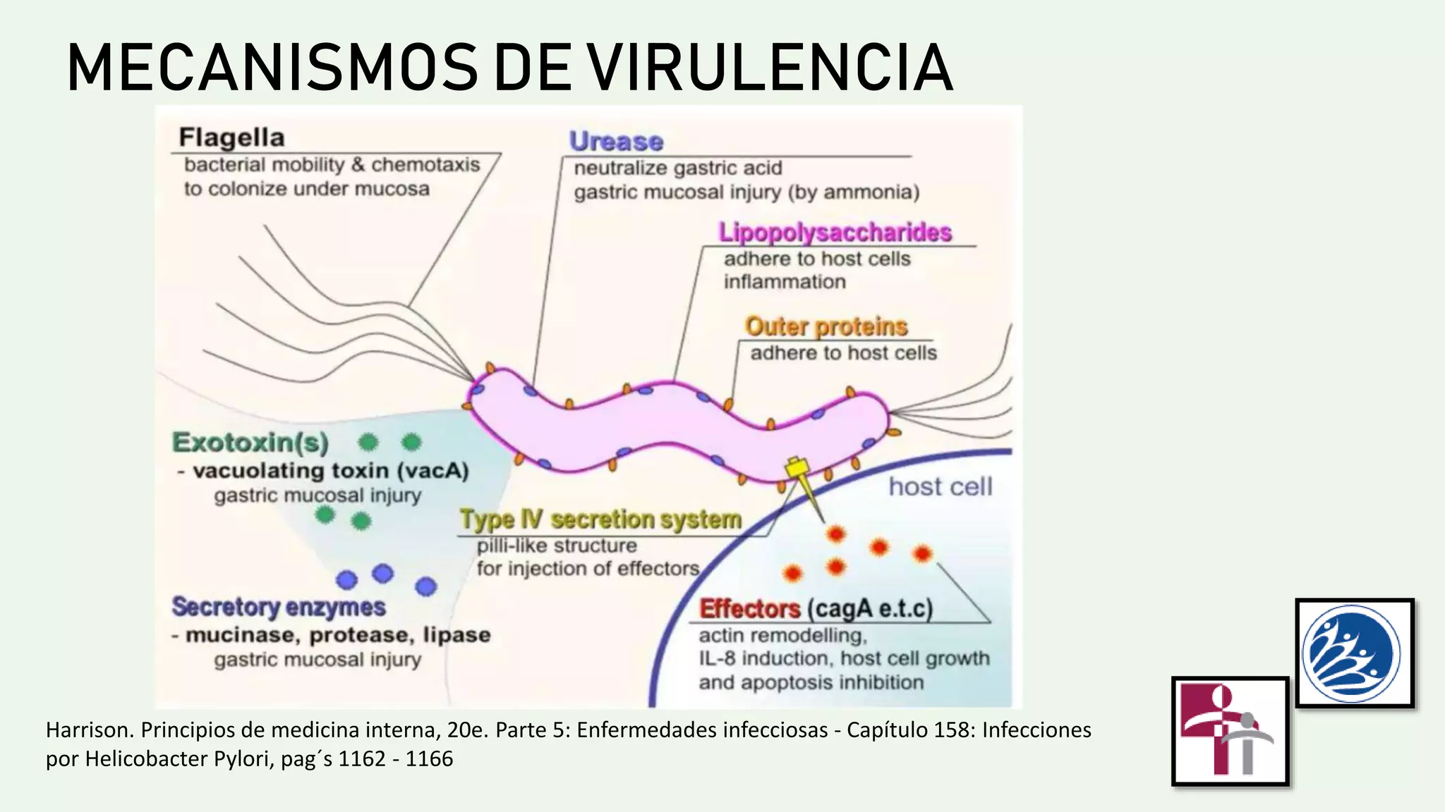 Enfermedad por Helicobacter pylori 2023.pptx