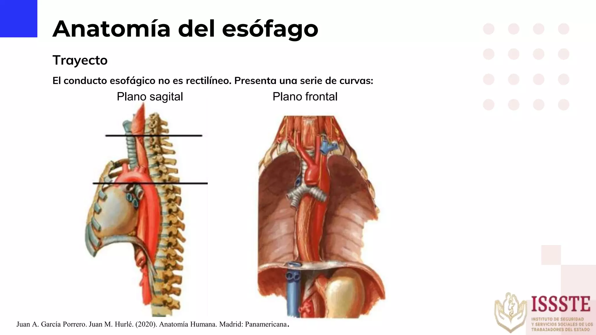 Enfermedad por reflujo esofagico y esofago de barret | PPT