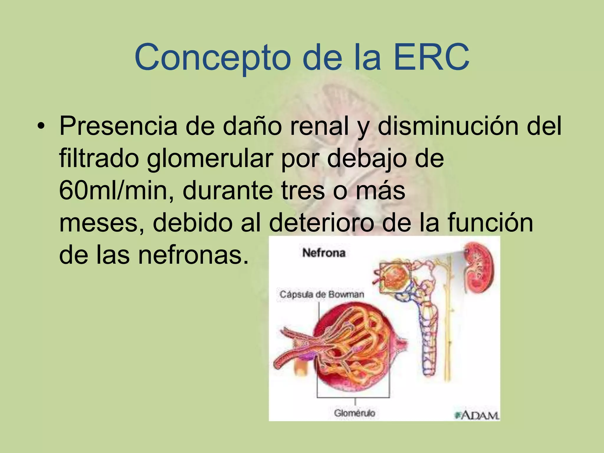 Enfermedad renal crónica | PPTX