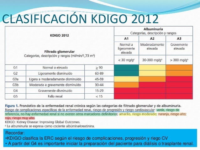 Enfermedad renal crónica