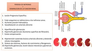 GENERALIDADES DE LA ENFERMEDAD RENAL CRONICA.pptx