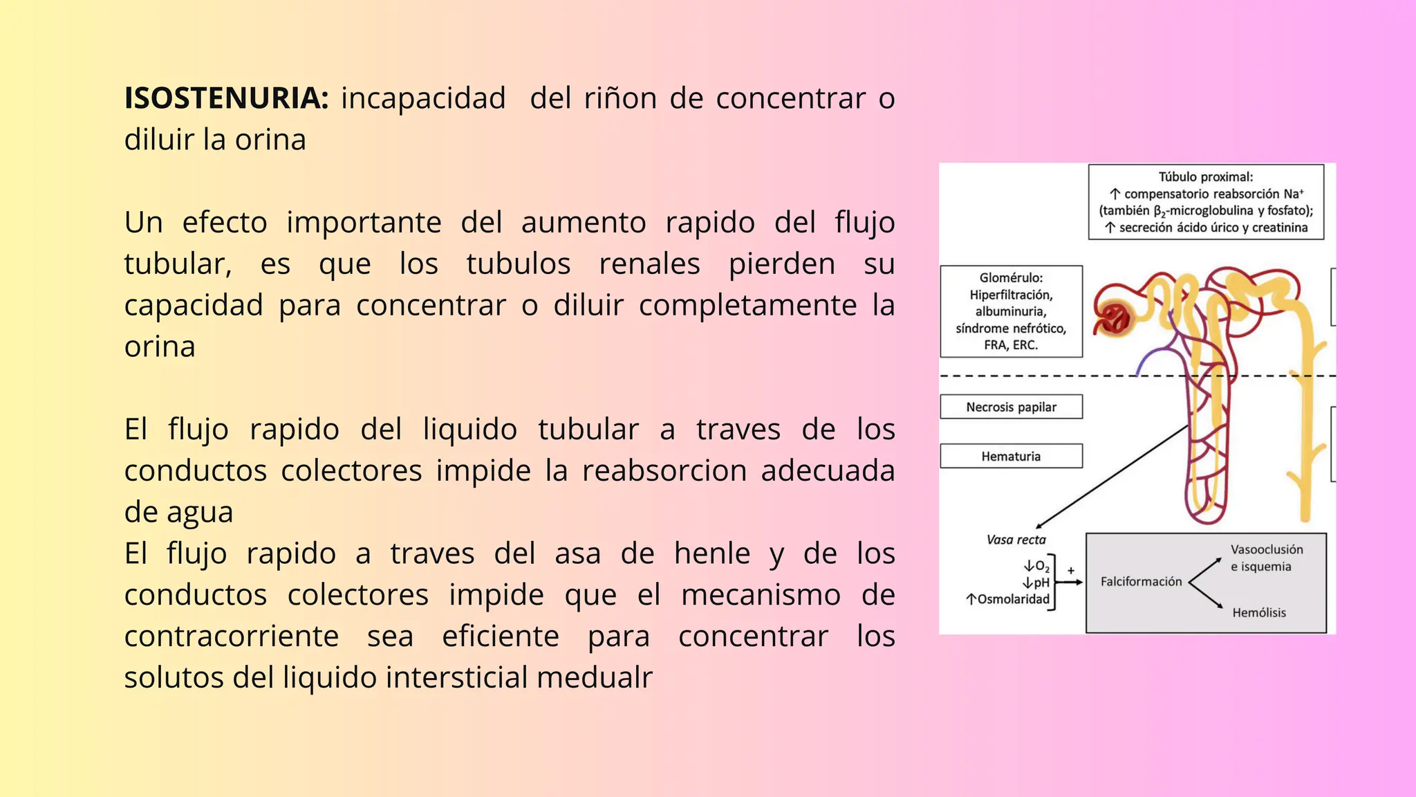 ENFERMEDAD RENAL CRONICA. definicion, clasificacion, epidemiologia y ...