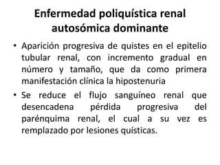 Enfermedad renal poliquística | PPTX